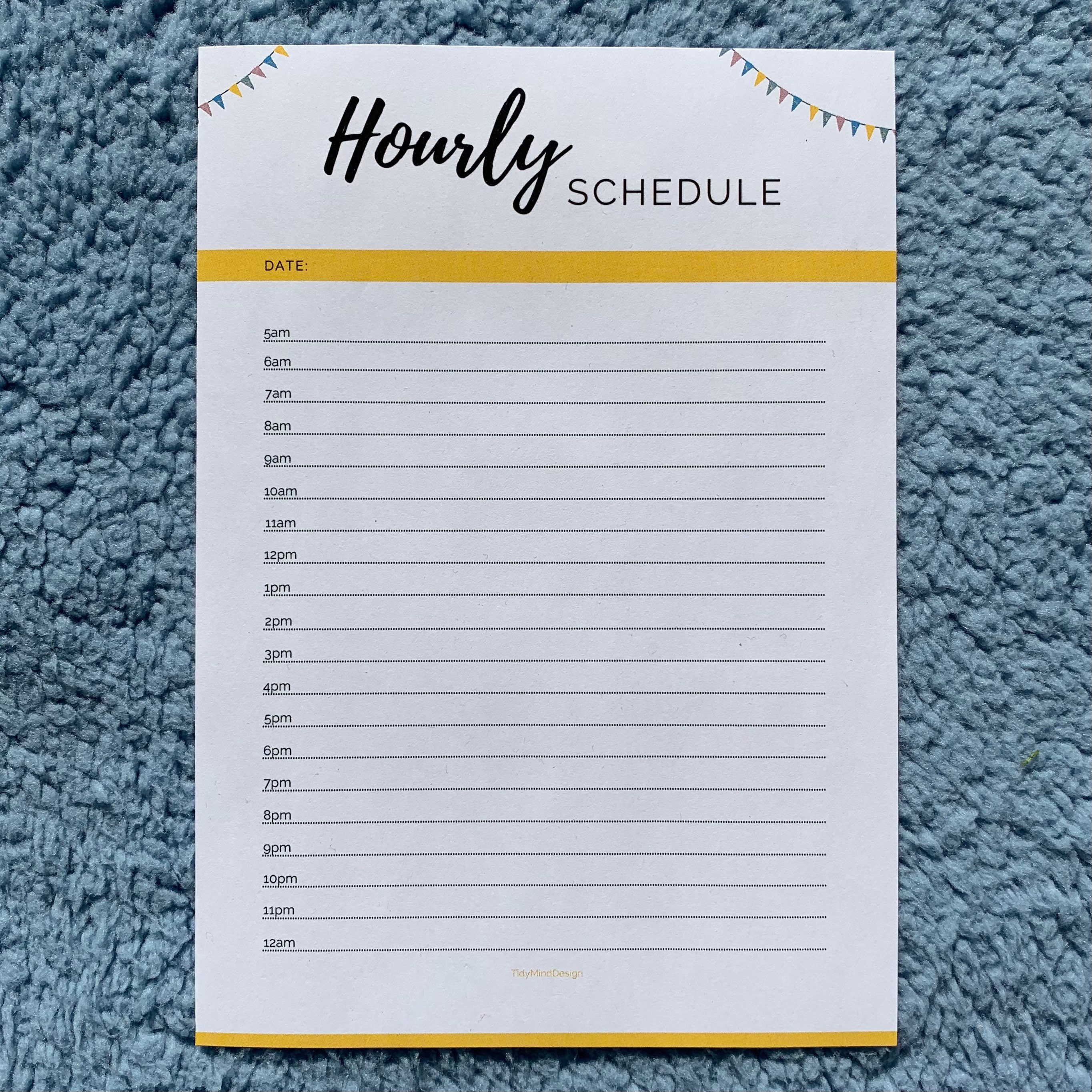 Daily Hourly Schedule Printable | Hour by Hour Planner | Daily ...