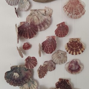 Shells Windchime ,balcony,garden,porch,beach House Hanging Decoration ...