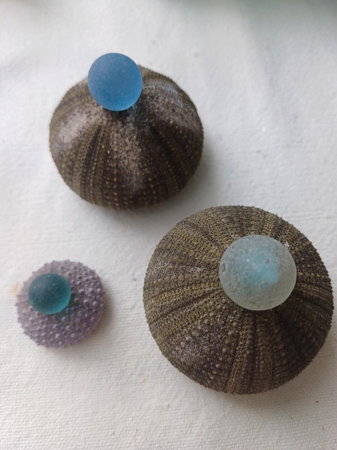 3 Japanese Glass Marbles of Different Size and Colors on Urchins Also ...