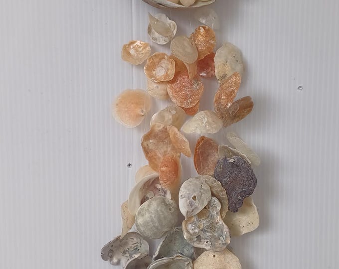 Shell Wind Chime, Shell Art, Driftwood Chime,, Shell Mobile, Beach ...