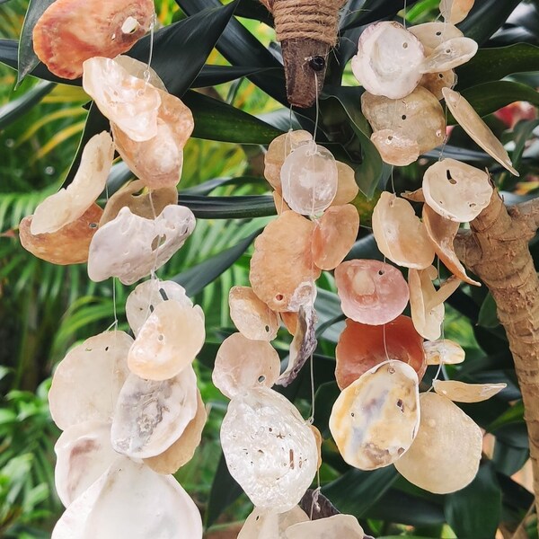 Flamboyant Tree - Etsy