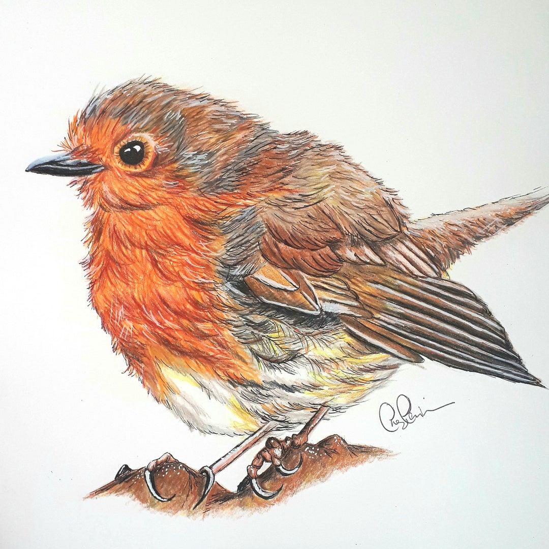 Rememberance Robin Giclee Art Print, Cheryl Chisholm Art - Etsy España