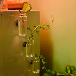 Set of Three Magnetic Glass Jars~ Propagation Station - Etsy