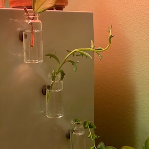 Set of Three Magnetic Glass Jars~ Propagation Station - Etsy