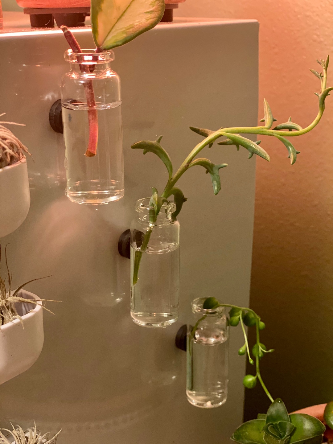 Set of Three Magnetic Glass Jars~ Propagation Station - Etsy