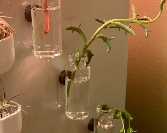 Set of Three Magnetic Glass Jars Propagation Station - Etsy