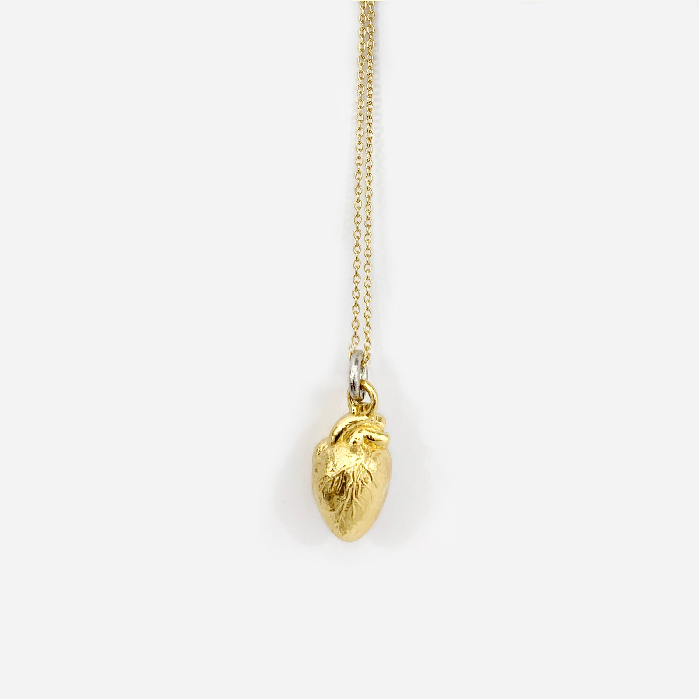 Anatomical Solid Gold/silver Human Heart big Pendant Charm Necklace - Etsy