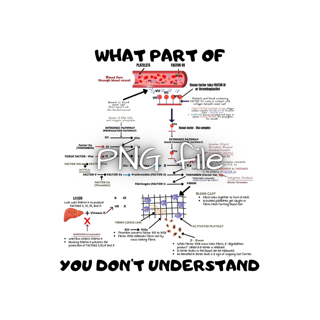 Laboratory Funny Art Coagulation - Etsy