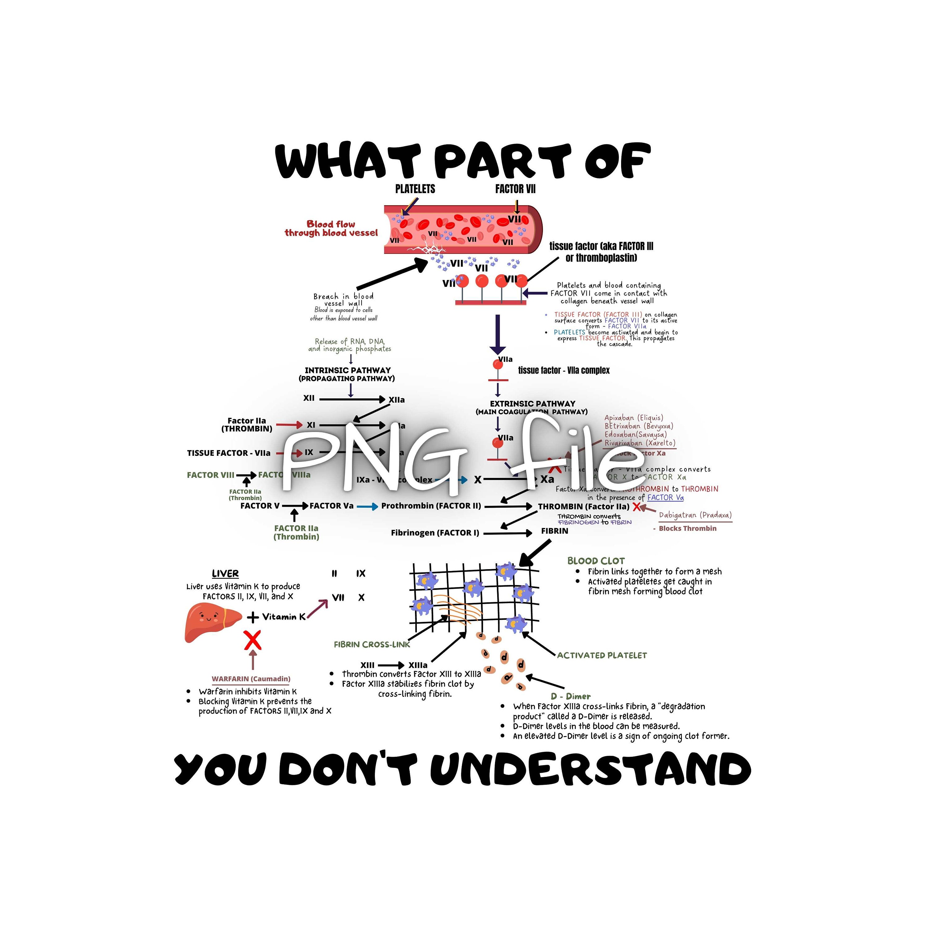 Laboratory Funny Art Coagulation - Etsy