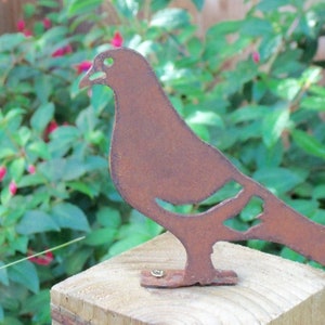 Rusty Metal PIGEON Bird Garden Ornament. Rustic Fence Post Topper ...