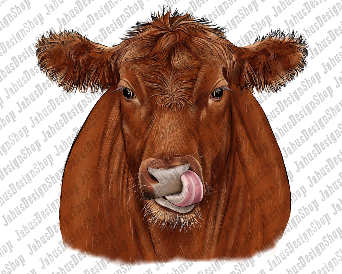 Red Angus Png Sublimation Design, Hand Drawn Angus Png, Western Angus ...