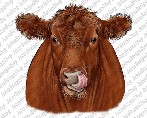 Red Angus Png Sublimation Design Hand Drawn Angus Png - Etsy
