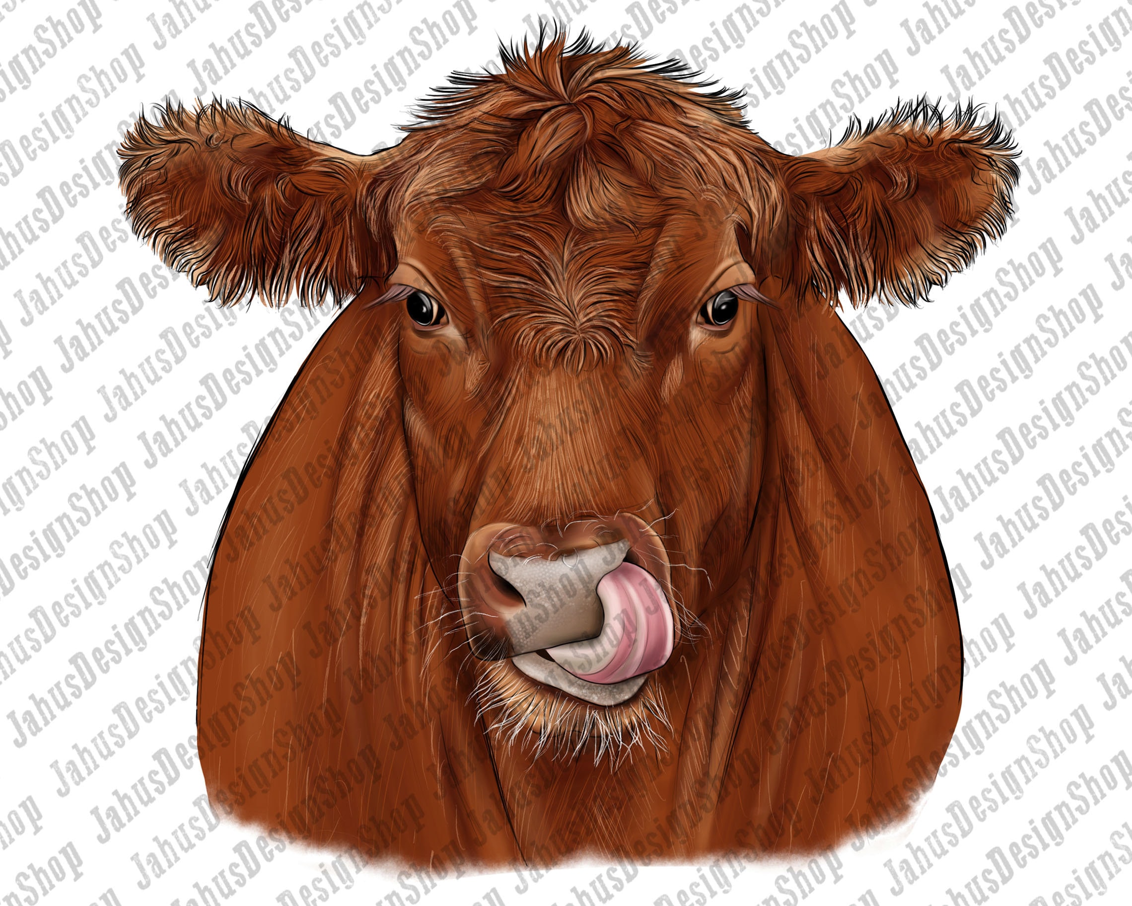 Red Angus Cattle Clipart