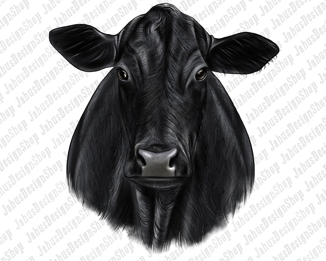 Black Angus Png Sublimation Design, Hand Drawn Angus Png, Western Angus ...