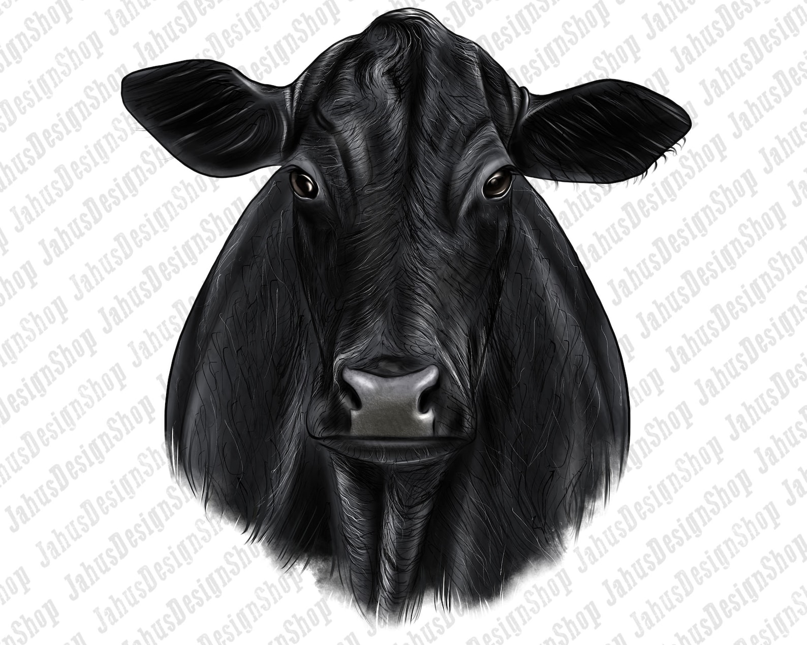 Black Angus Png Sublimation Design, Hand Drawn Angus Png, Western Angus ...