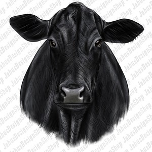 Black Angus Png Sublimation Design, Hand Drawn Angus Png, Western Angus ...