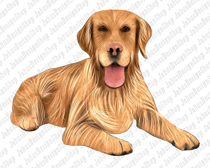 Dog Portrait Bundle Design PNG, Animal Bundle, Dog Bundle, Dog ...
