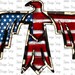 Thunderbird Usa Flag With,cowhide Png,thunderbir With Cowhide Design ...