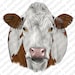 Leopard Simmental Cattle Sublimation Design Png,simmental Cow Png,hand ...