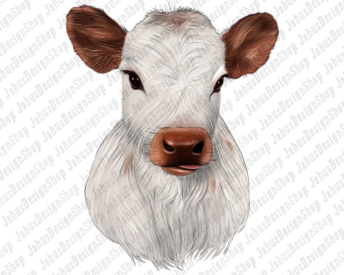 Calf Png Sublimation Design Calf Png Western Calf Png Cute - Etsy