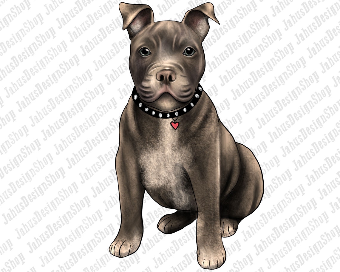 Dog Portrait Bundle Design PNG Animal Bundle Dog Bundle Dog - Etsy