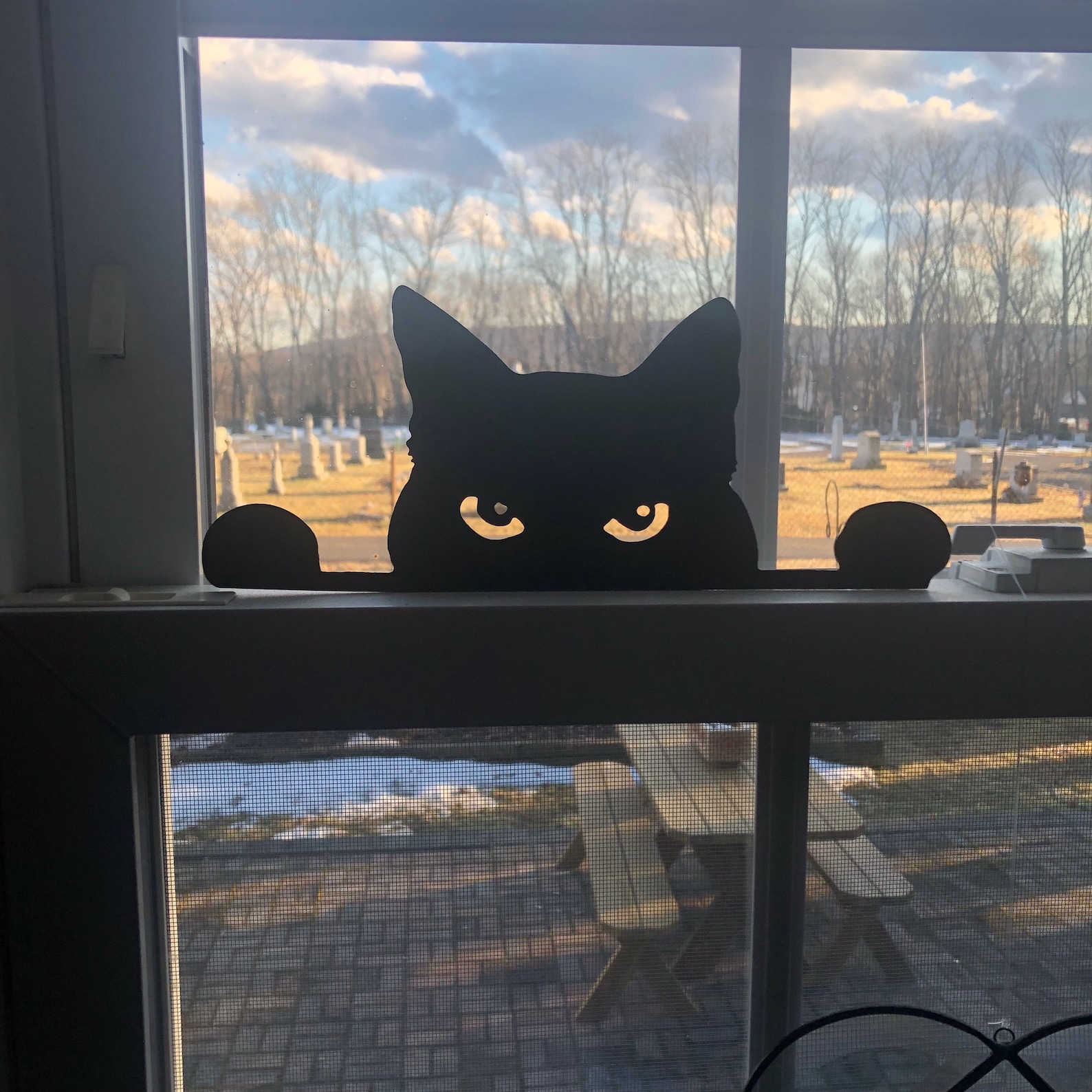 Cat for Your Window Sill Silly Cat Kitty Window Decoration. - Etsy