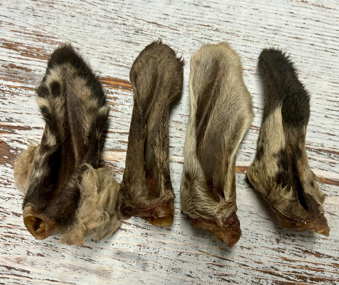Lamb Ears - Etsy