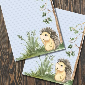 Heidi Hedgehog A5 Letter Writing Paper, Pen Pal Supplies, Stationery ...