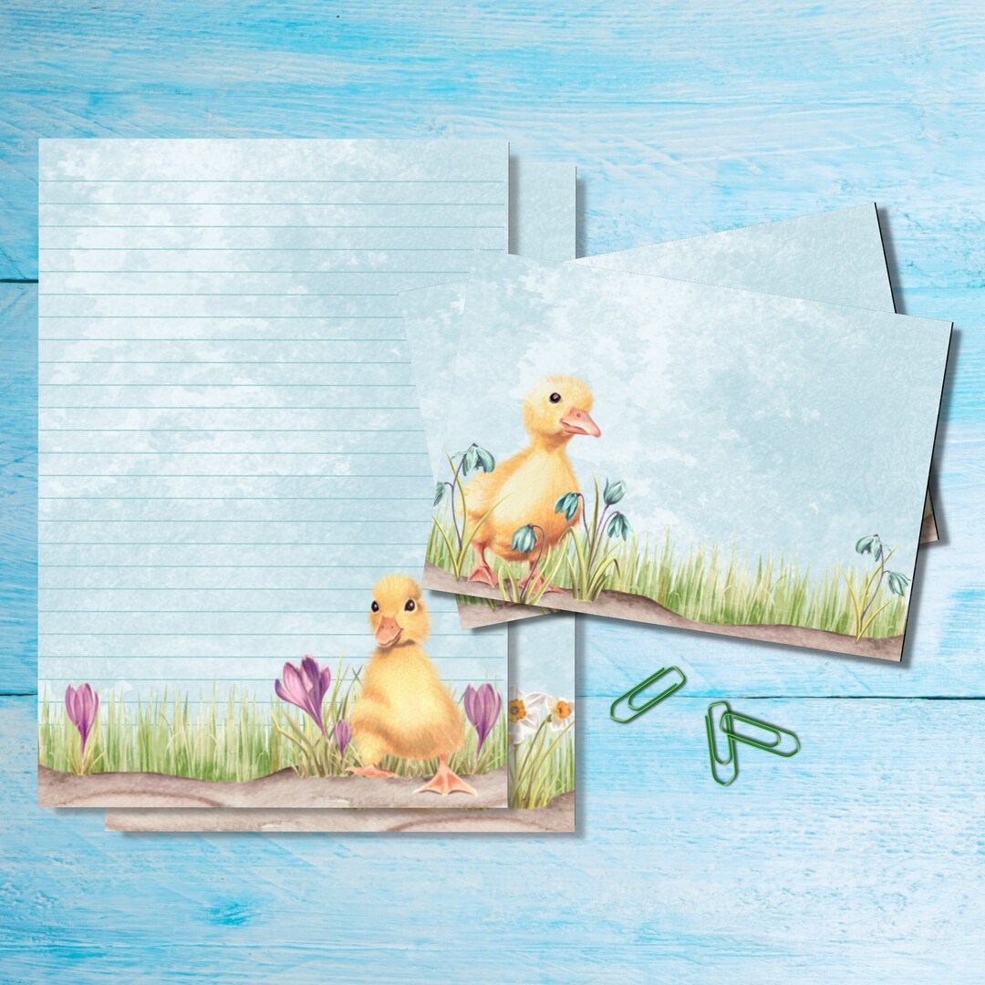 Ducklings A5 Letter Writing Stationery Set With Matching Envelopes ...
