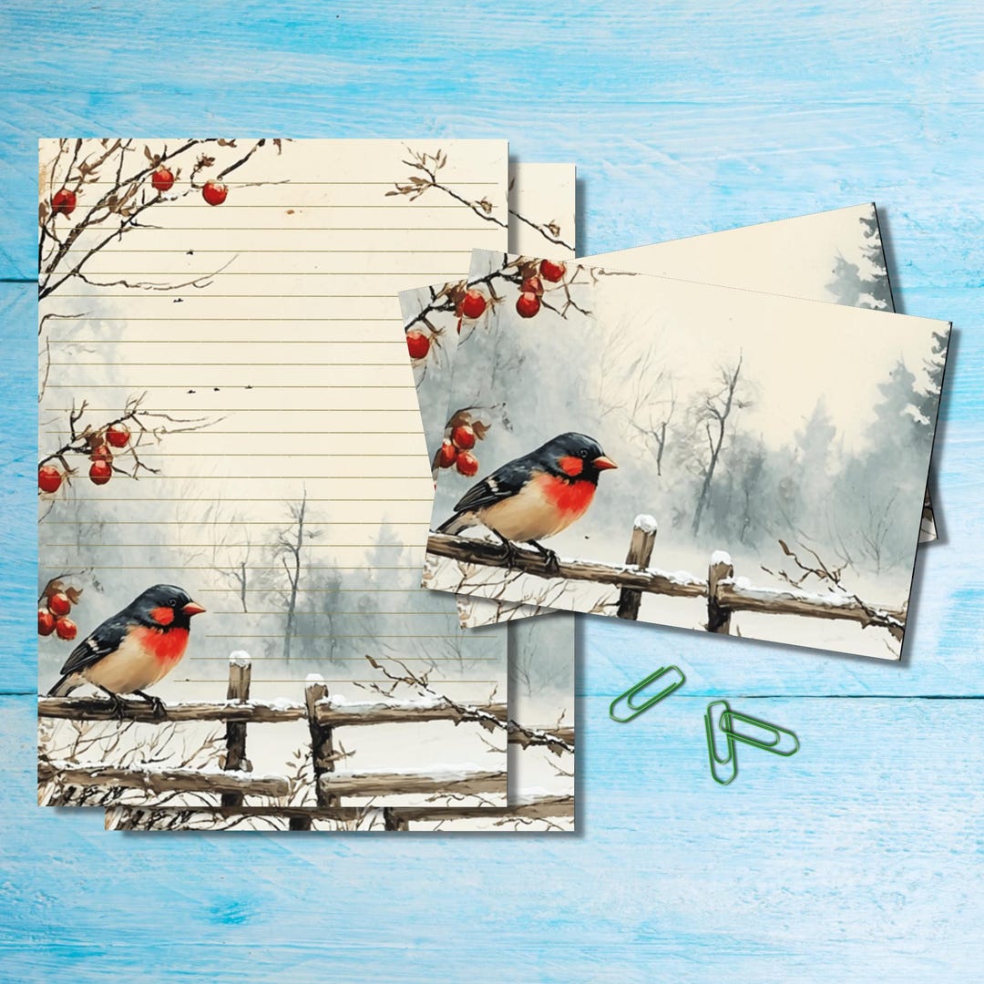 Hello Winter A5 Letter Writing Stationery Set, Penpal Supplies, Snail ...