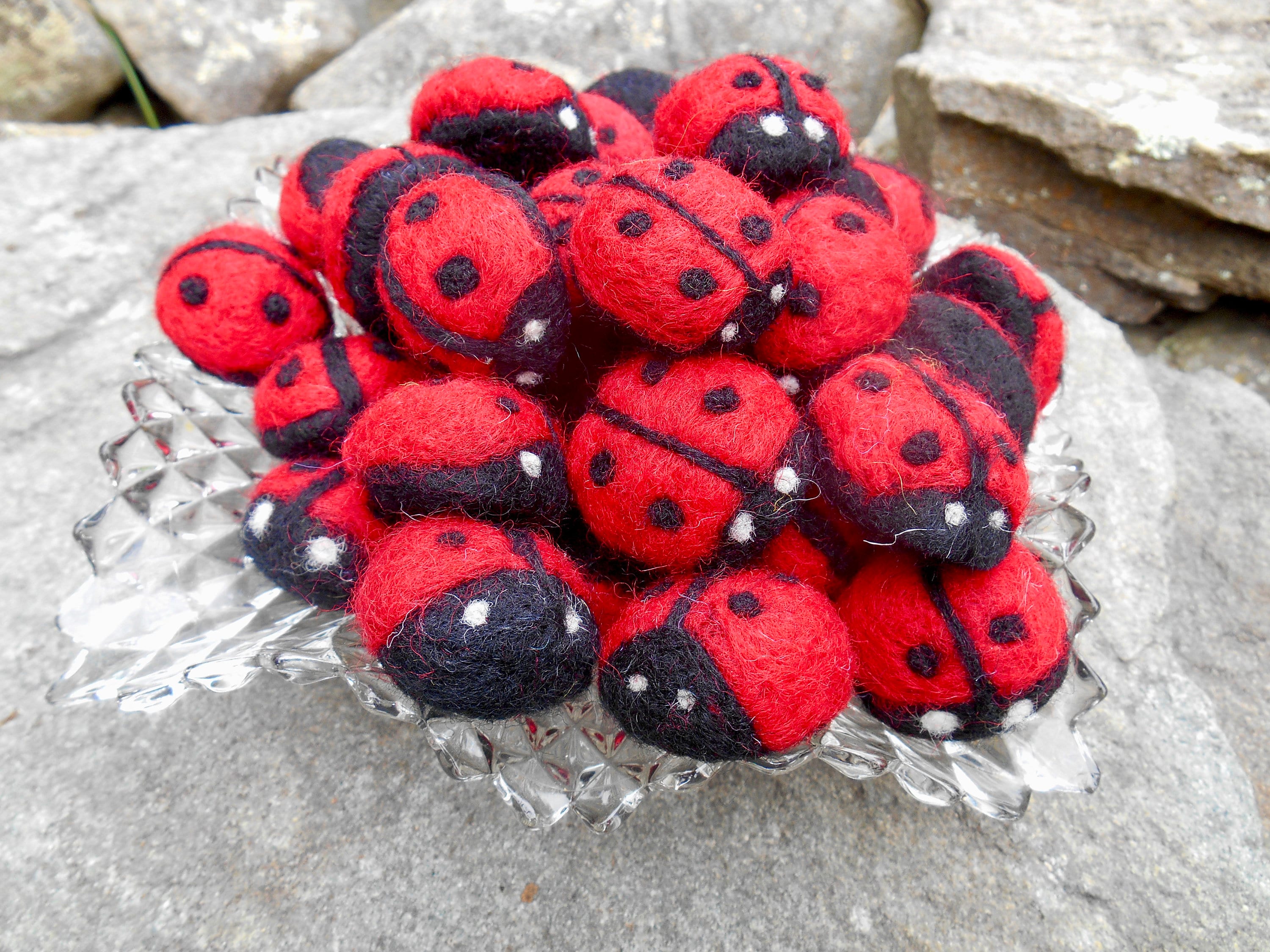 Felt Lady Bugs / Red Felt Lady Bugs / Wool Felt Lady Bugs / - Etsy España