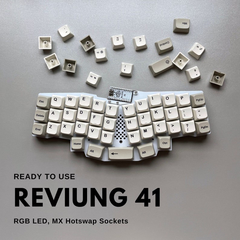 Ready to Use Reviung 41 / REVIUNG41 Hotswap Ergonomic Mechanical ...