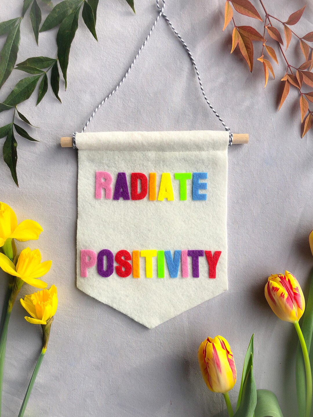 Radiate Positivity Rainbow Pennant Felt Flag - Etsy