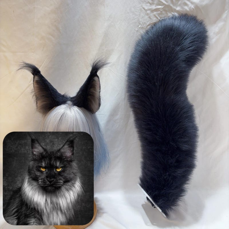 Maine Coon Fursuit - Etsy