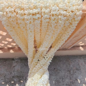 Elegant Islamic Wedding Nikha Pardha,pakistani Bride Groom Partition ...