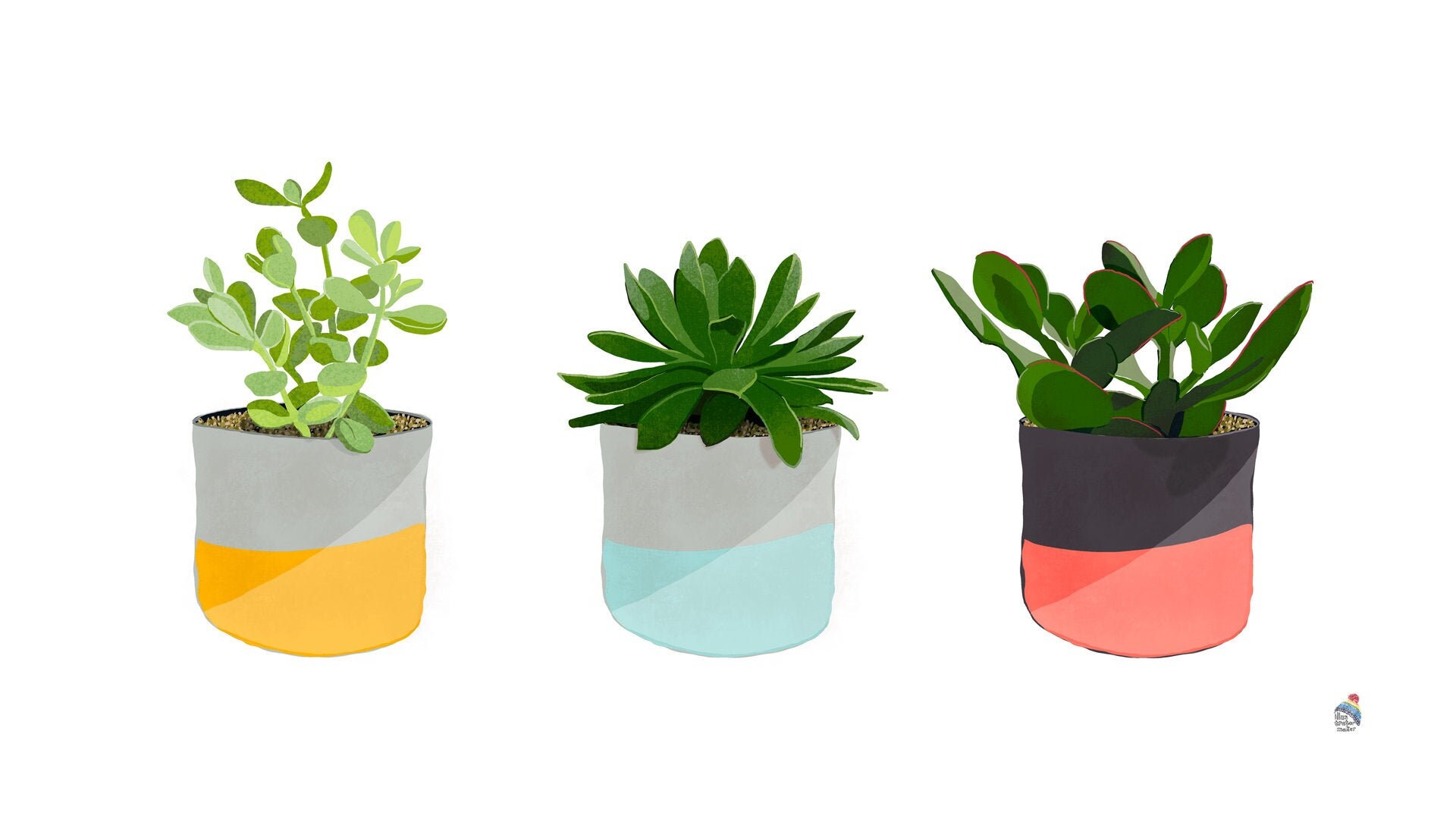 Succulent Container Clip Art