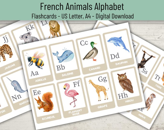 French Alphabet Flashcards Printable Instant Download Preschool ...