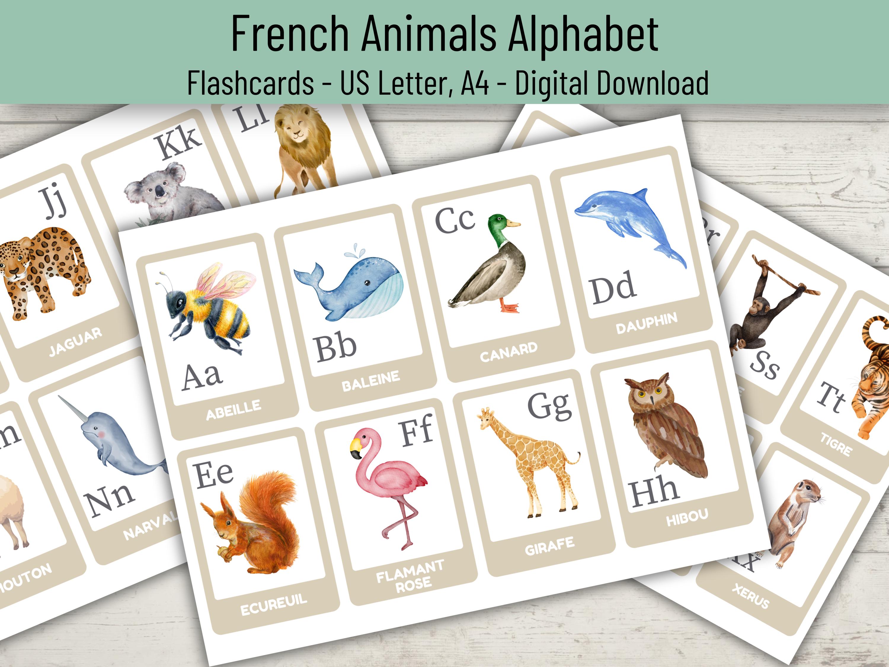 French Animal Alphabet Flashcards, French Alphabet Printable, French ...
