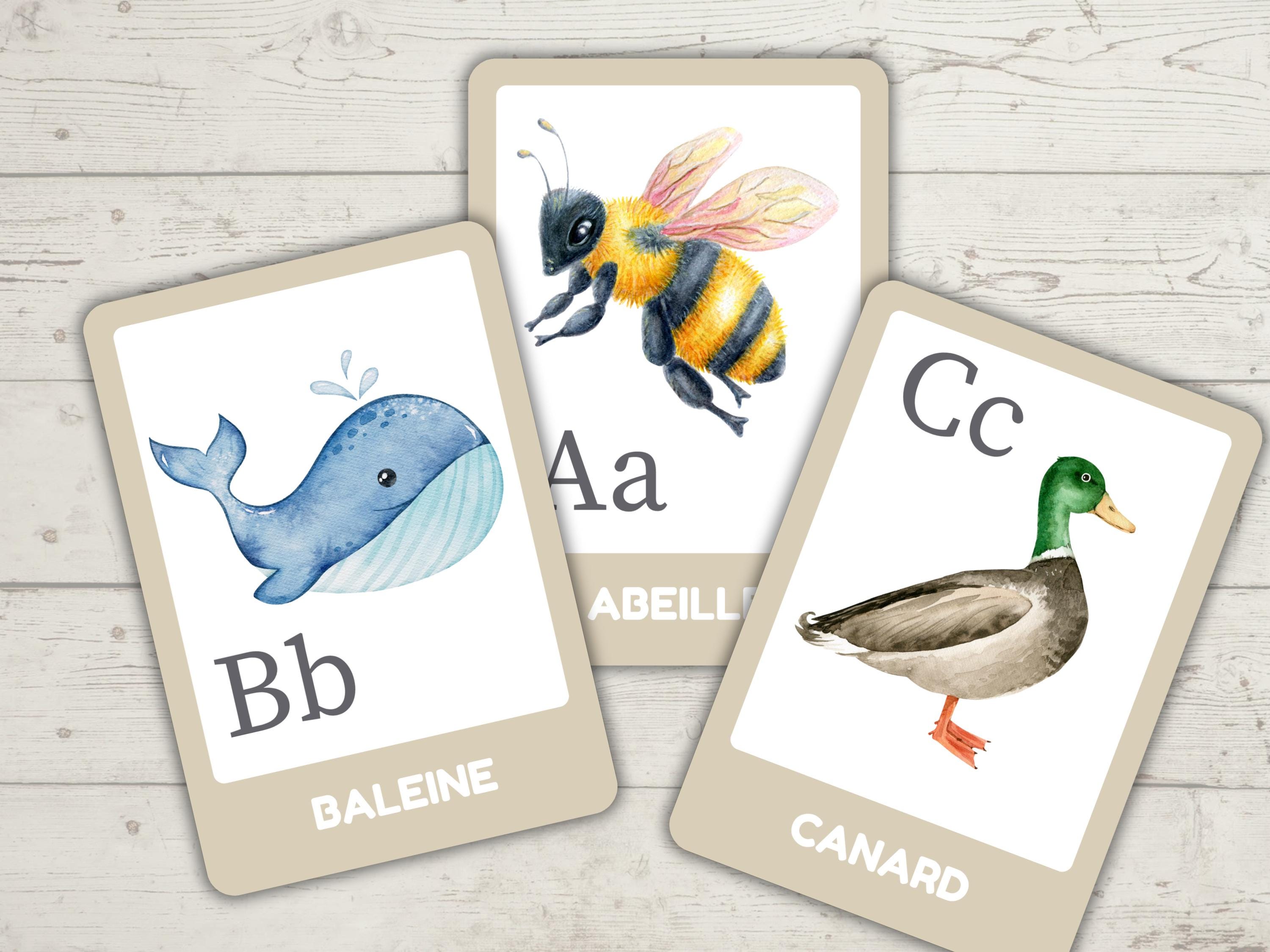 French Animal Alphabet Flashcards, French Alphabet Printable, French ...