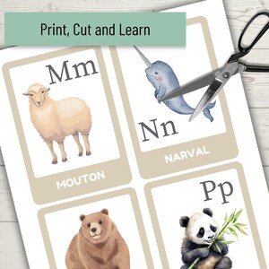French Animal Alphabet Flashcards, French Alphabet Printable, French ...