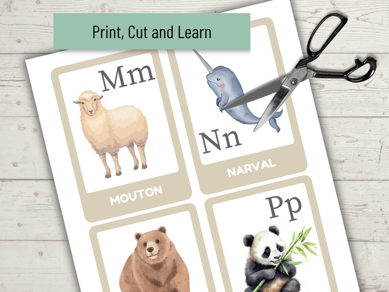 French Animal Alphabet Flashcards, French Alphabet Printable, French ...