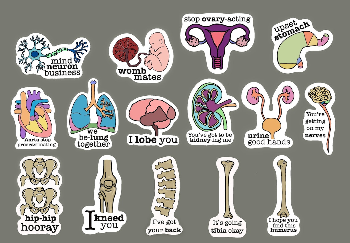 ANATOMY PUN Organs Bones Funny Physiology Medical Sticker Pack - Etsy
