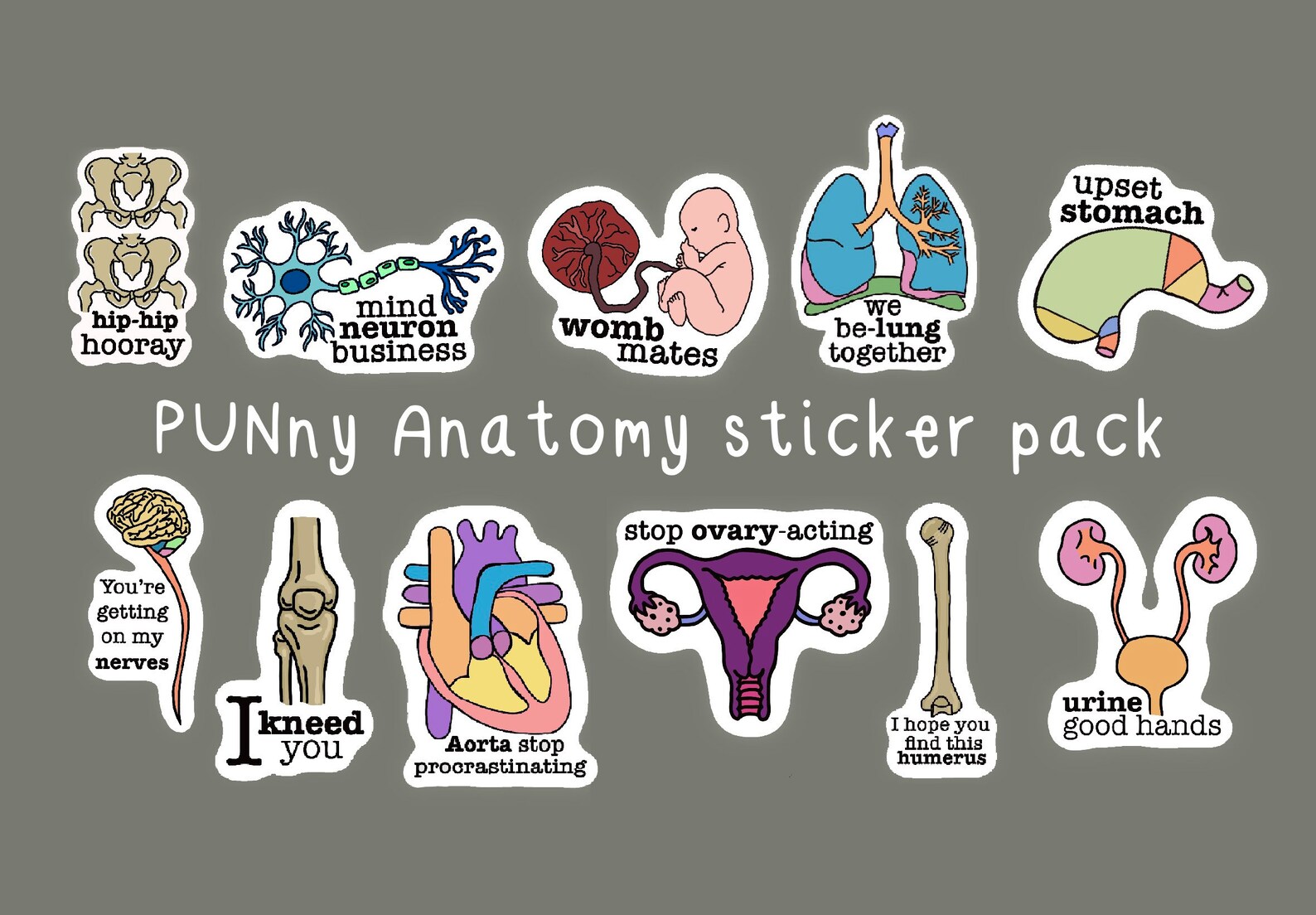 ANATOMY PUN Organs Bones Funny Physiology Medical Sticker Pack - Etsy