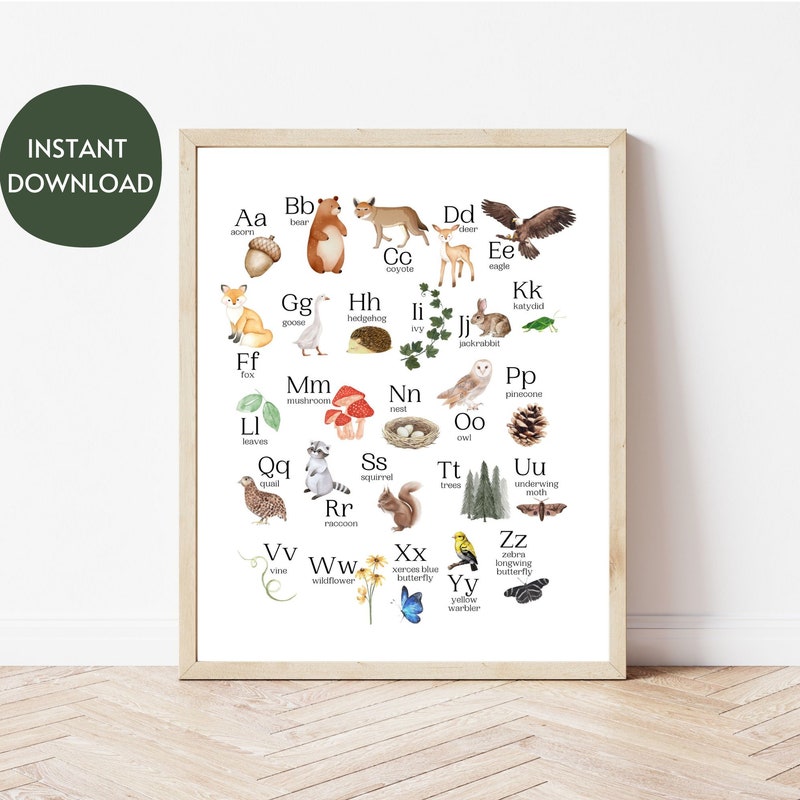 Woodland Alphabet - Etsy