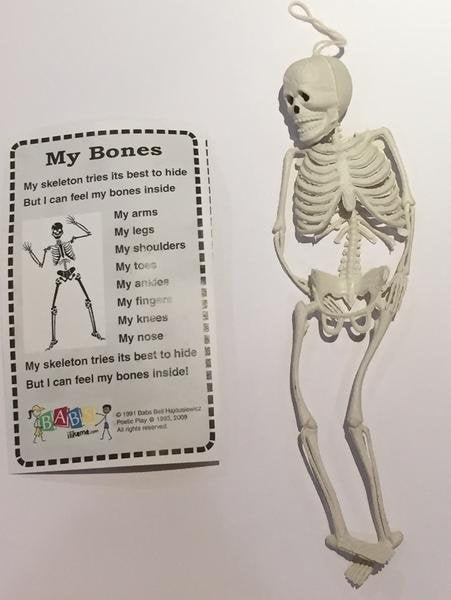 SCIENCE Toy W POEM & SONG New Toy My Bones; Body Exercise Skeleton Gift ...