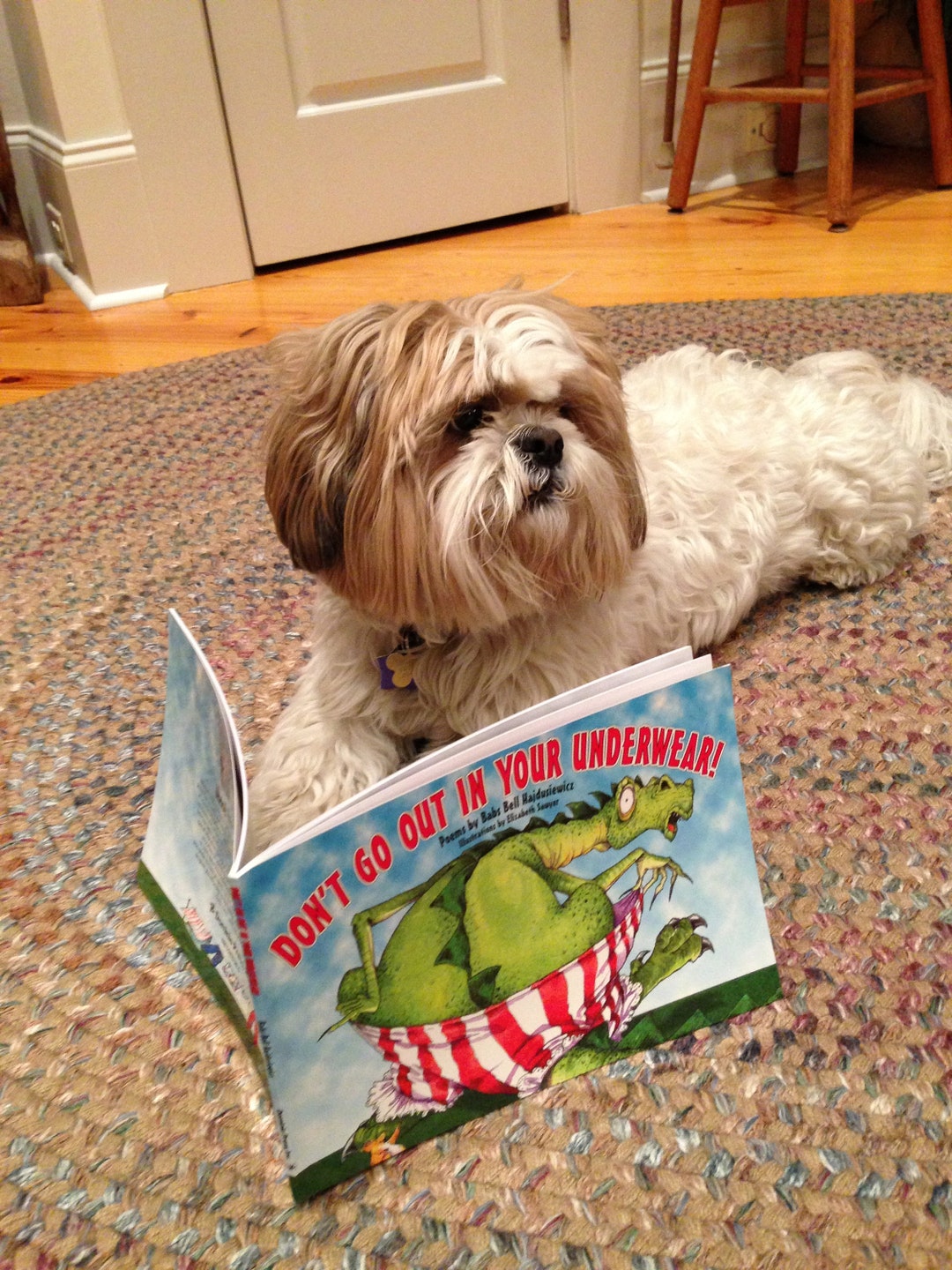 Poems UNDERWEAR Collection Book Kids Giggle Rare New Copy dont Go Out ...