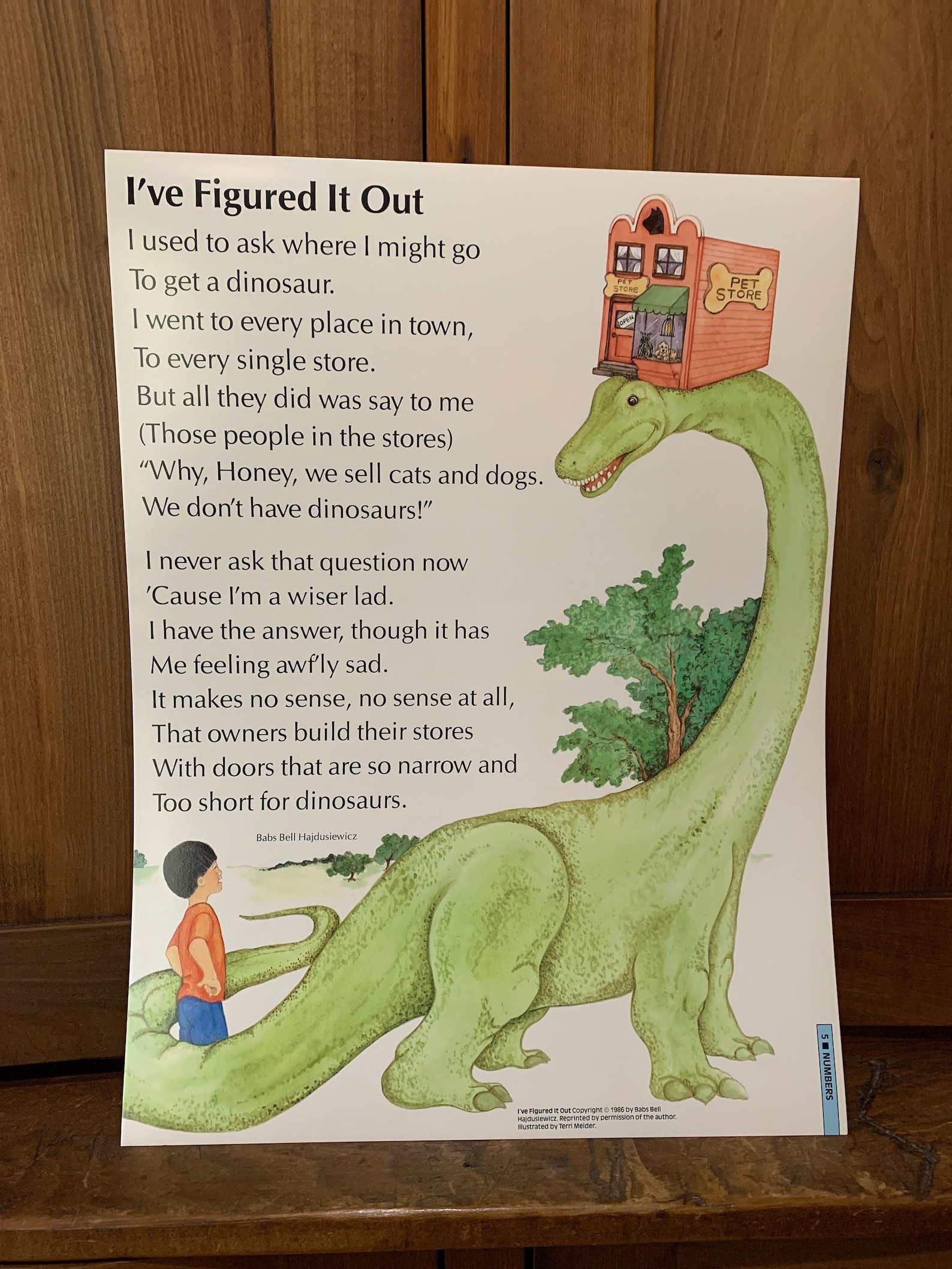 DINOSAUR POSTER Pet Store POEM "i've Figured It Out" by Babsy B Kid ...