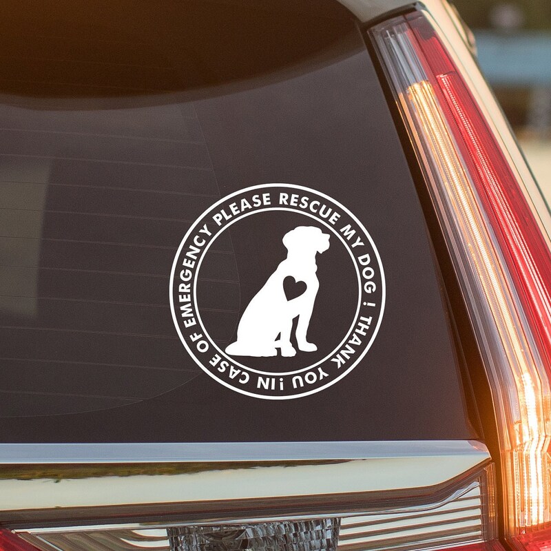 Pet Inside Sticker - Etsy