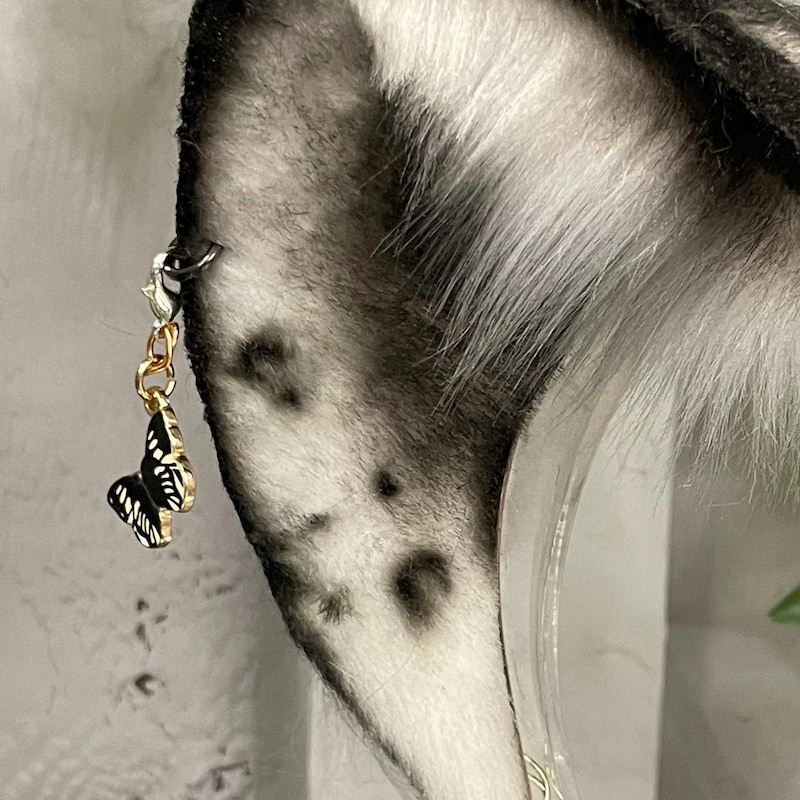 Kemonomimi Ears - Etsy