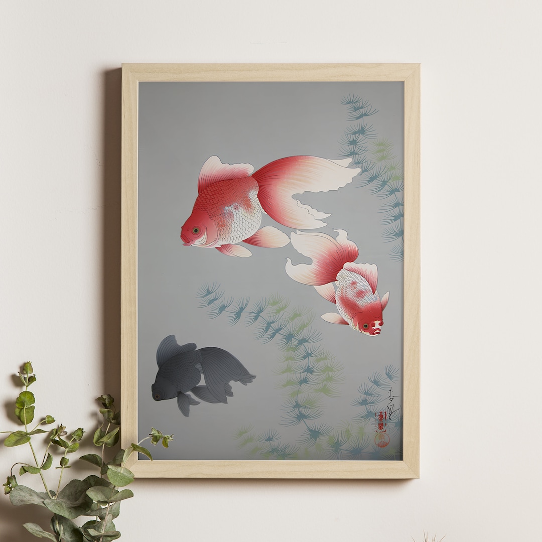 Goldfish Kingyo, Japanese Fish, Dai-nippon Gyorui Gashu Collection Ohno ...
